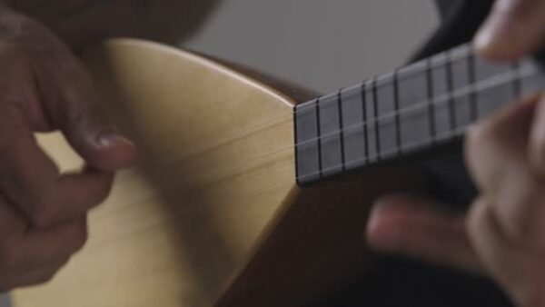 The History and Cultural Significance of the Saz